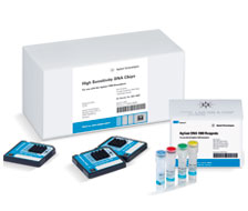 DNA ソリューション - Agilent High Sensitivity DNA キット | アジレント・テクノロジー株式会社